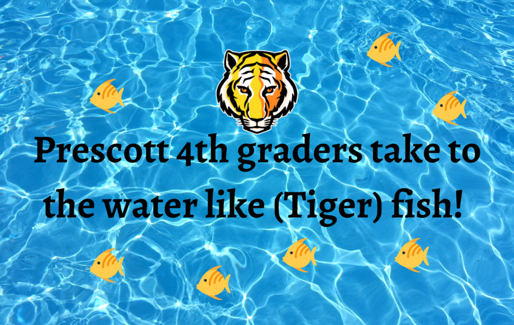 Tigers in the Water! | Prescott School District